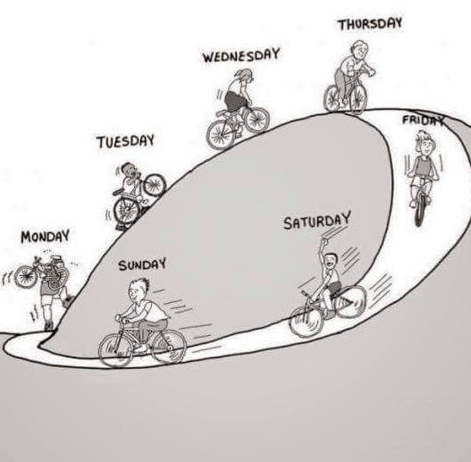 Days of the Week | Jokes of the day (49699)